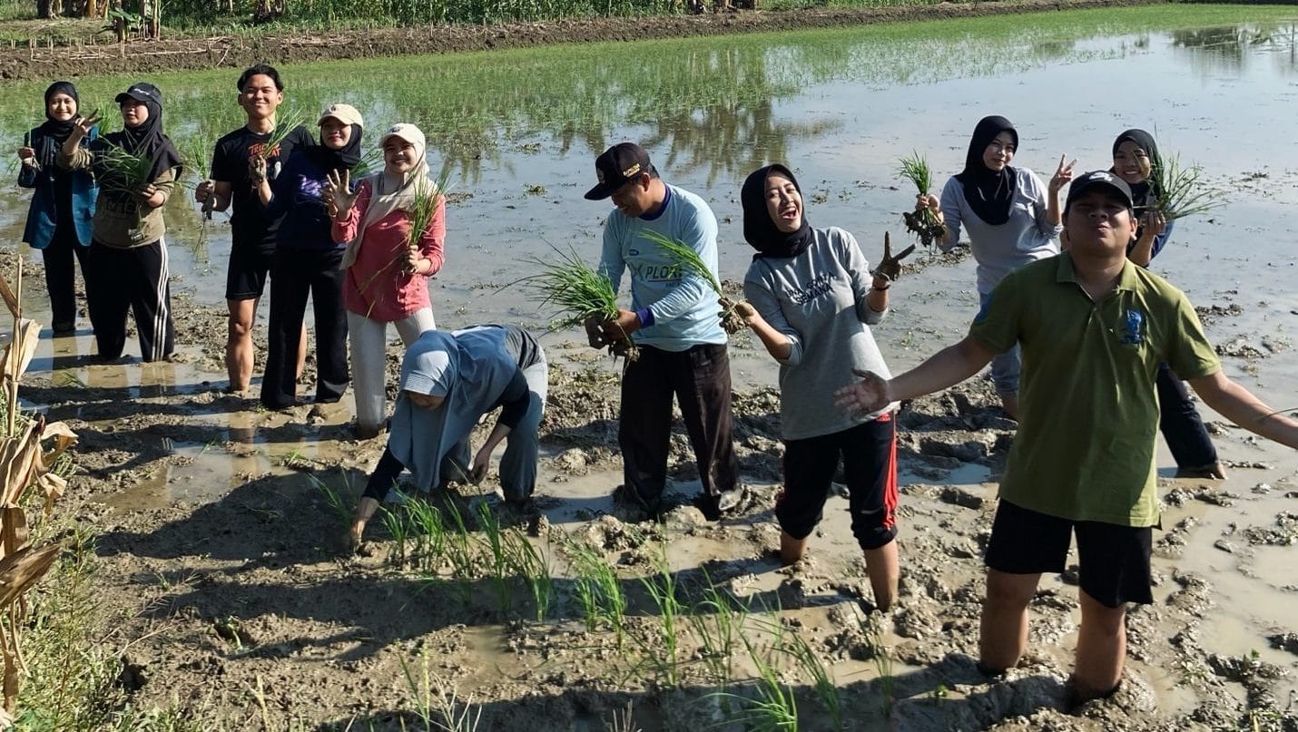Transformasi Pertanian Berkelanjutan di Desa Menur, Tim KKN-T UNDIP Tim ...